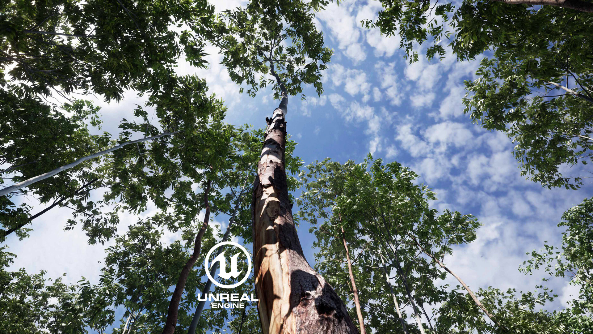 denis Gandra - dviz Realistic Tree Pack _ Unreal Engine 4