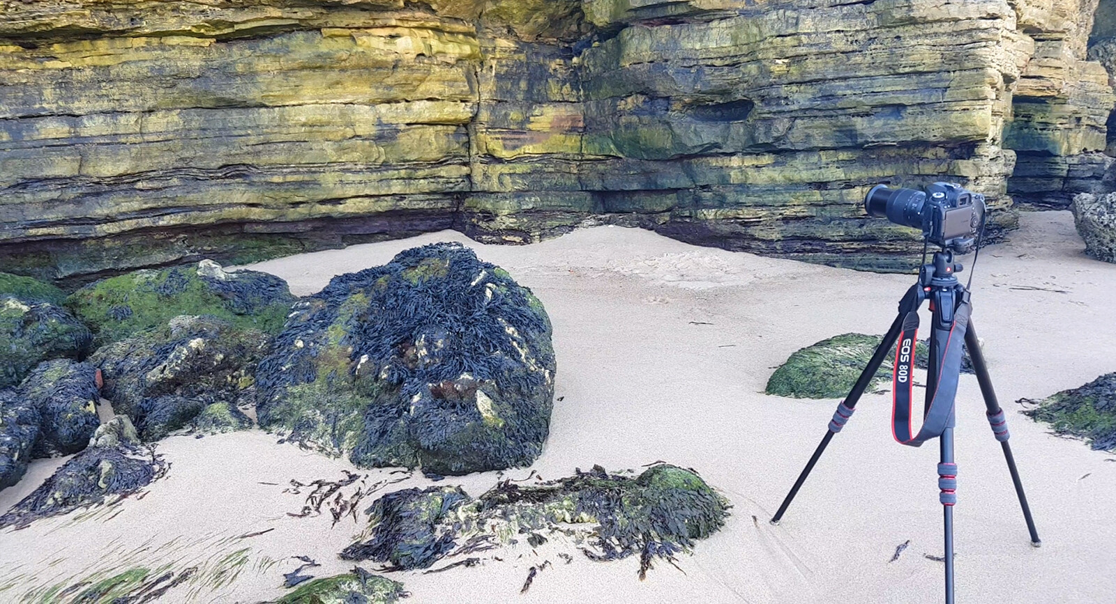 Grzegorz Baran - Rock - Photogrammetry based Environment Texture