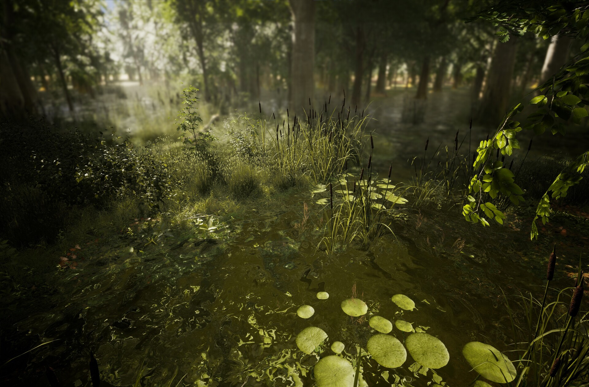 Ghost Design - Broadleaf Swamp - Unreal Engine 4