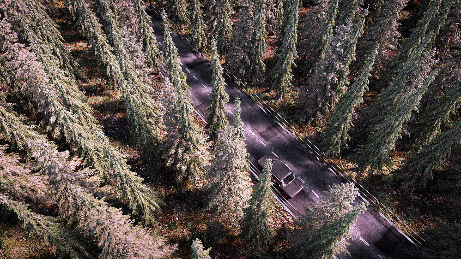 ArtStation - Forest visualization