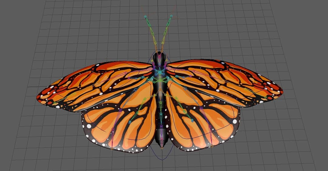 Sophie A Awesome - Butterfly 3D Model and Rig