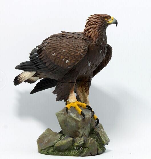 wang dong fei - 金雕