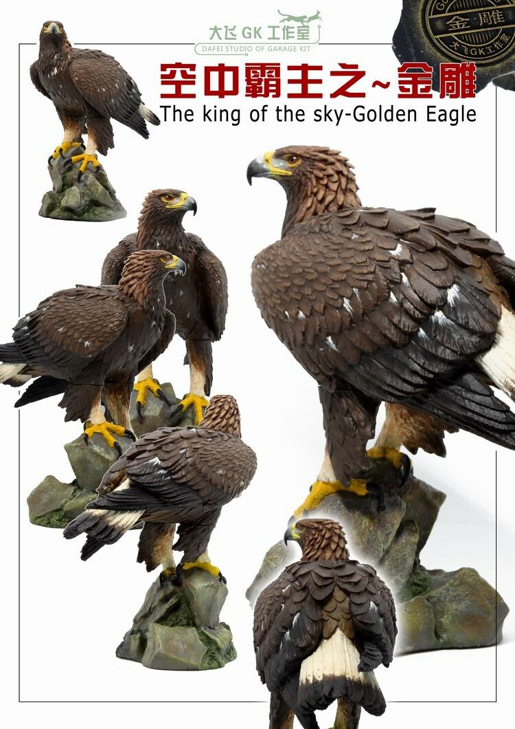 wang dong fei - 金雕