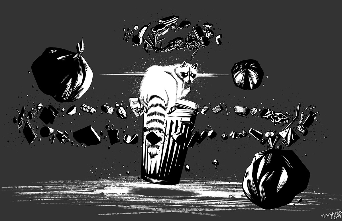 Ted Graves - Inktober 2017 - Raccoon Trash God