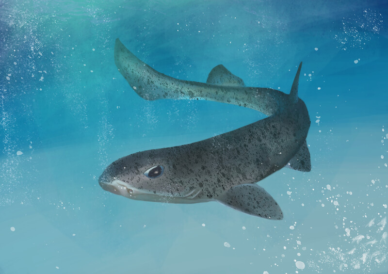 ArtStation - Sam Button