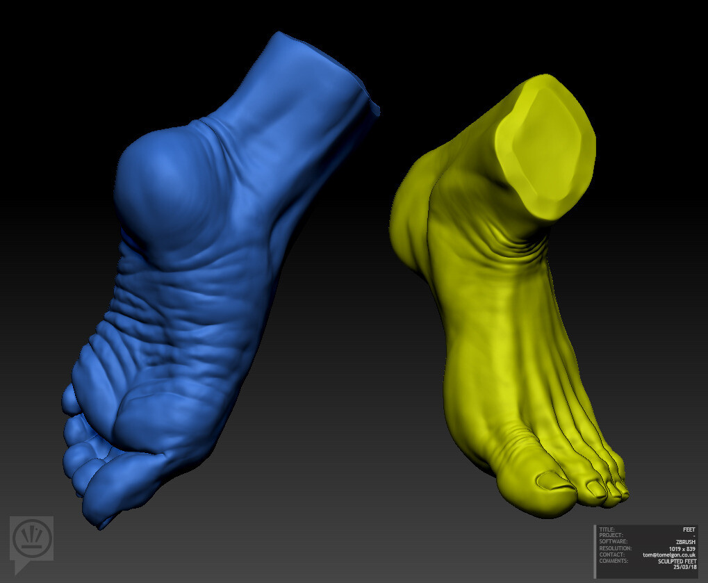 ArtStation - Feet and Hands