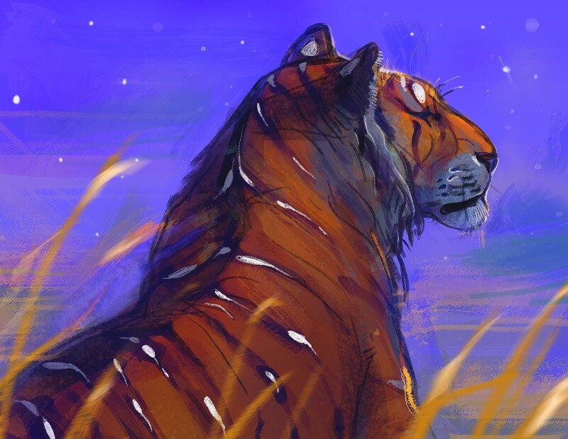 ArtStation - Tiger at Dusk