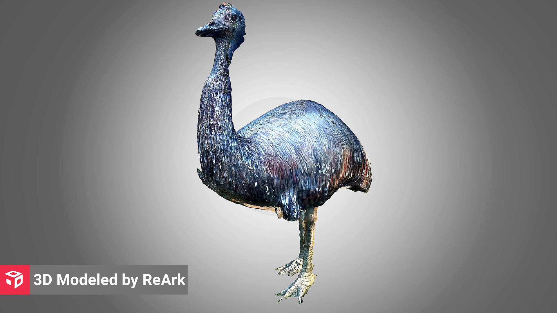 ArtStation - 3D model of an Ostrich