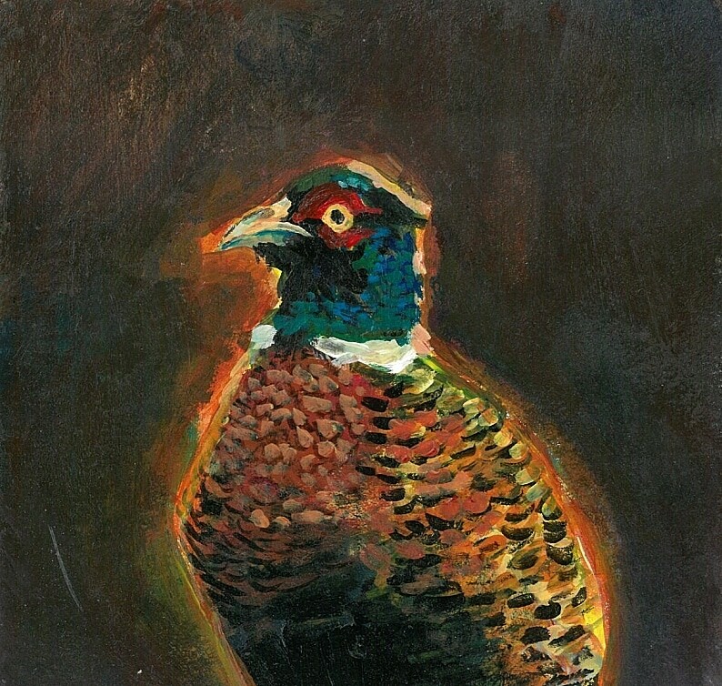 ArtStation - Pheasant