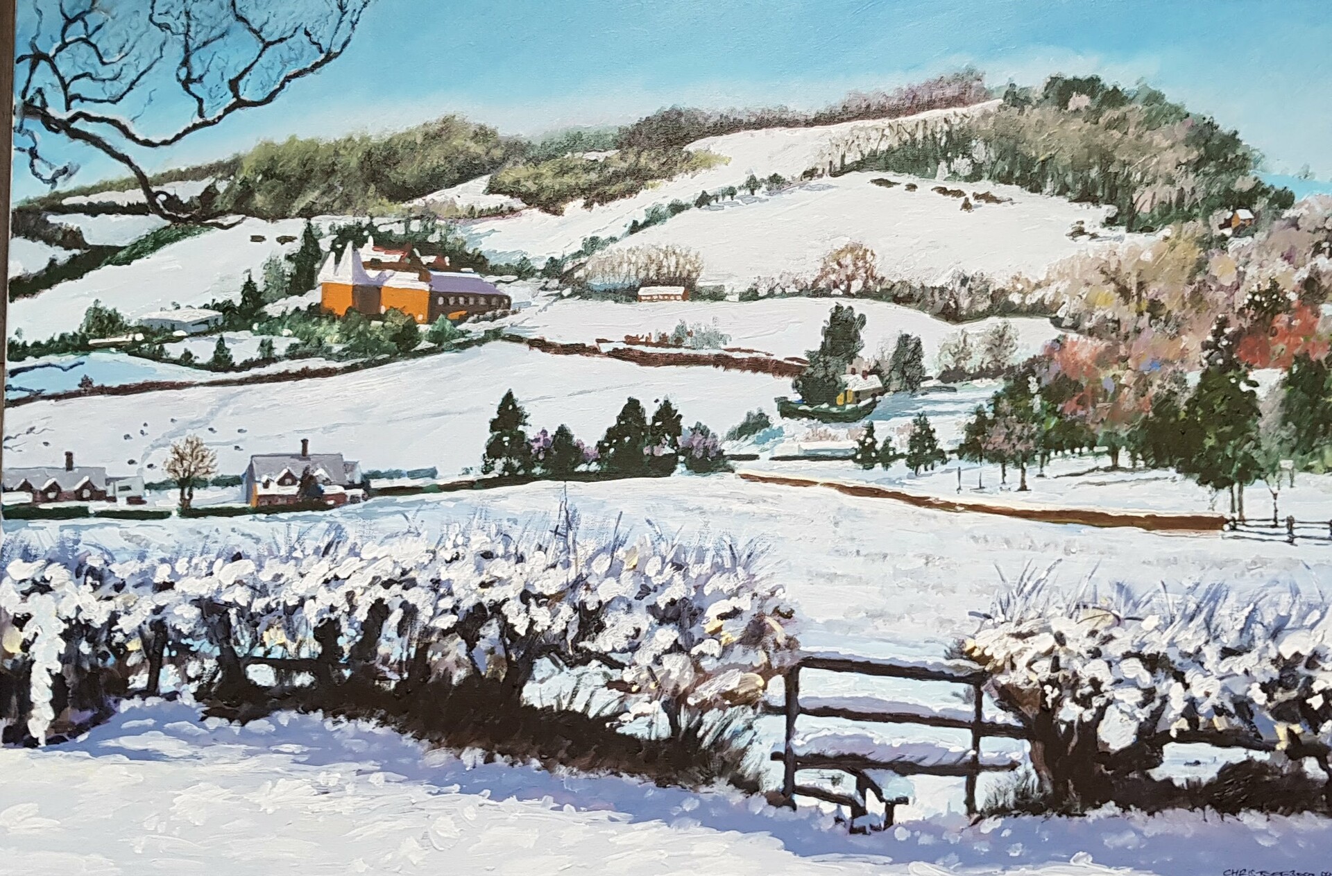 Chris Davies - Great Witley in the Snow