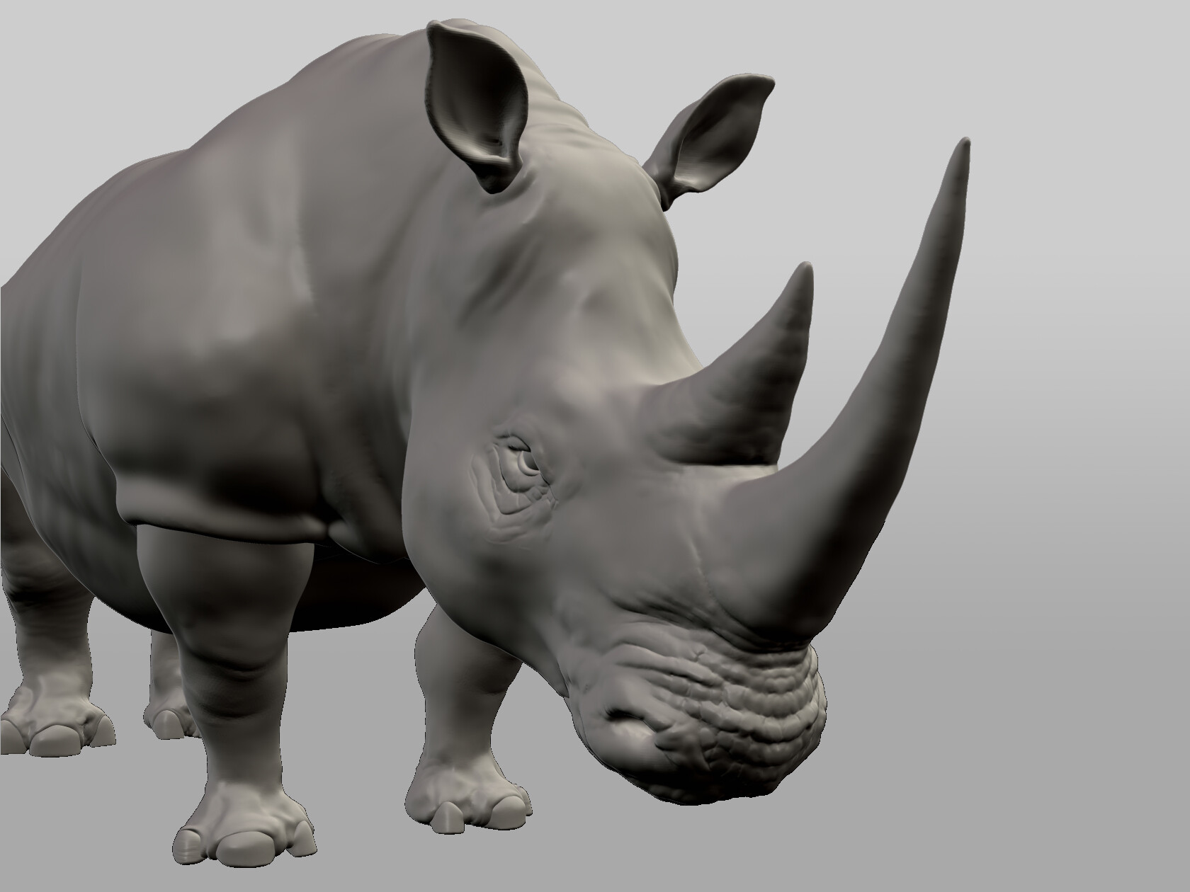 ArtStation - White Rhino