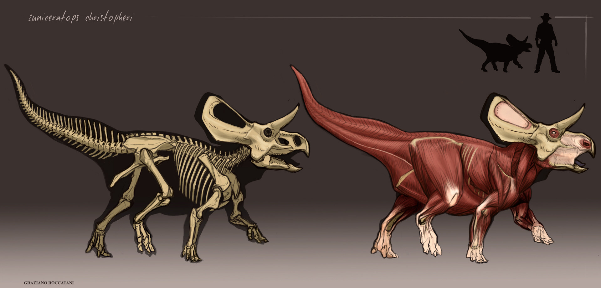 Zuniceratops Scan Code