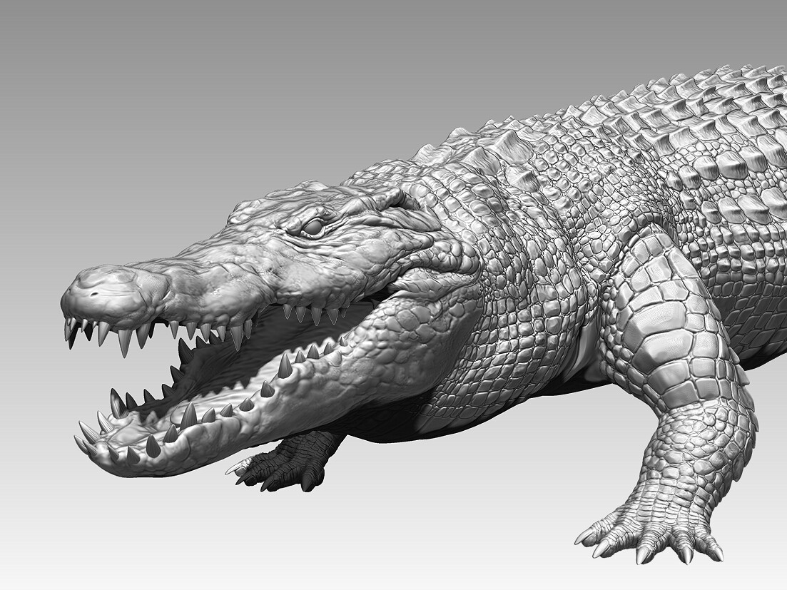 ArtStation - Crocodile practice sculpt