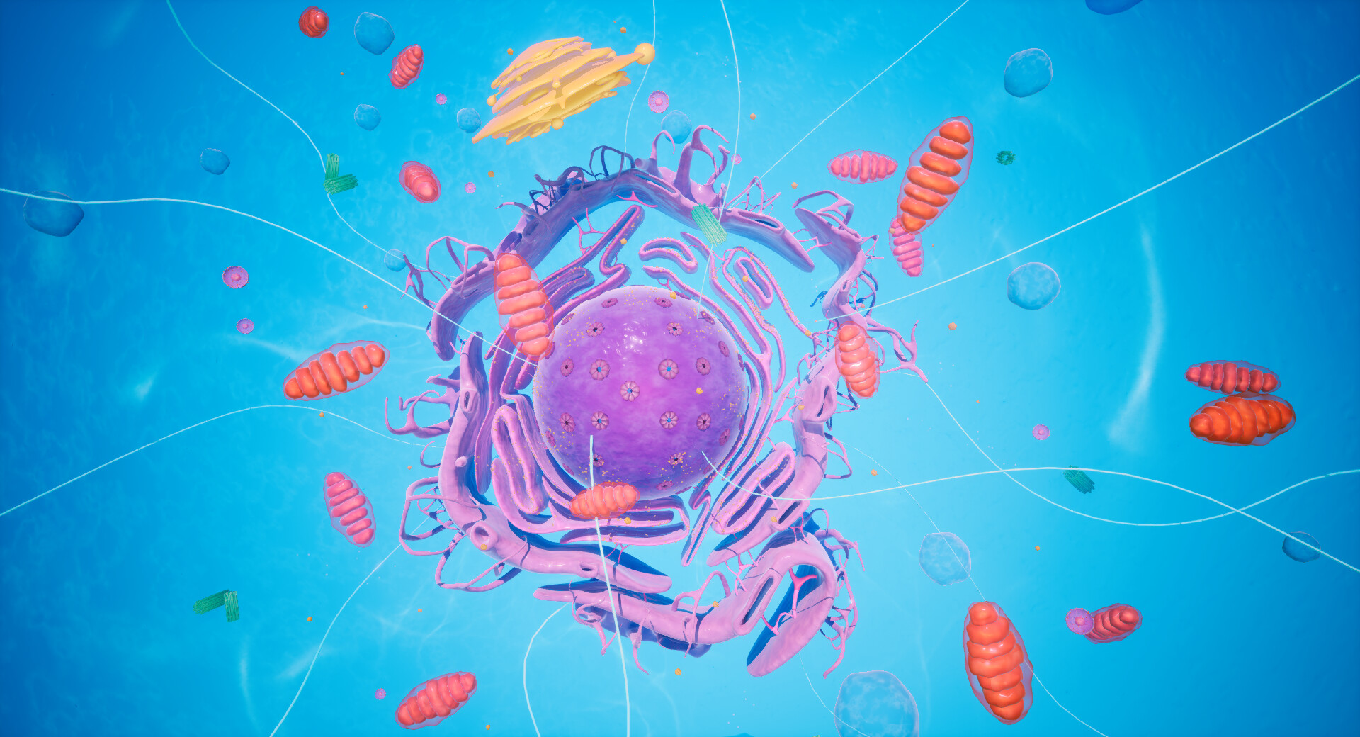 ArtStation - Eukaryotic Cell VR - Environment