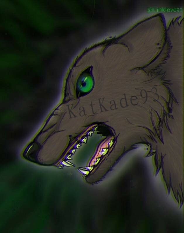 Kat Gates's Instagram, Twitter & Facebook on IDCrawl