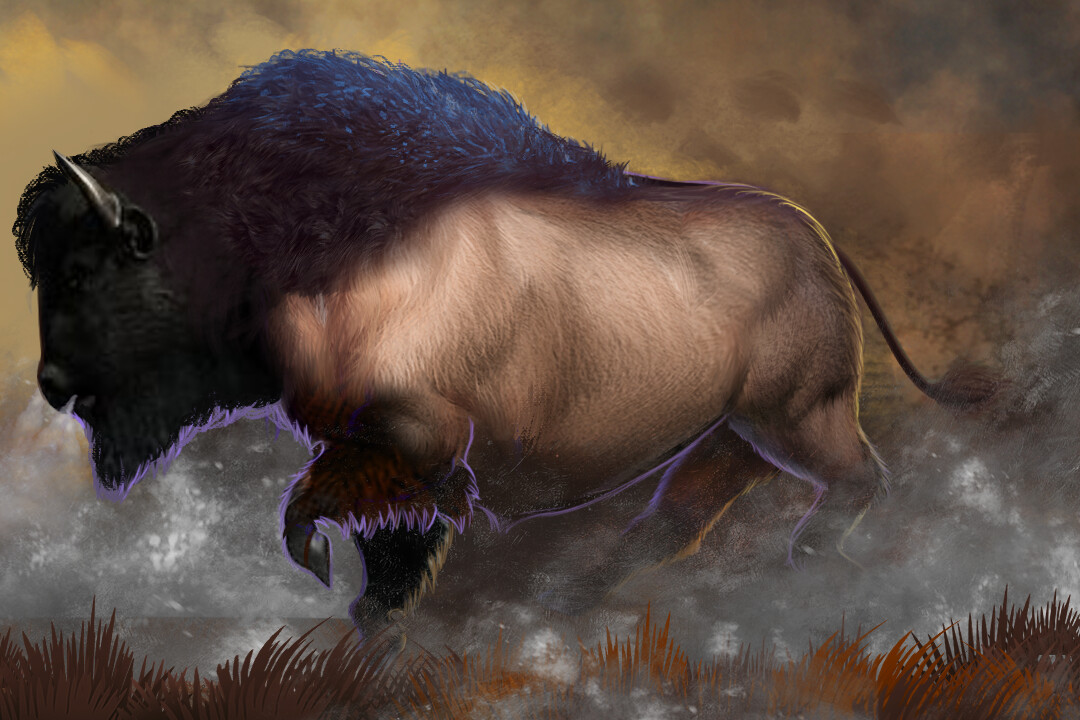 ArtStation - buffalo