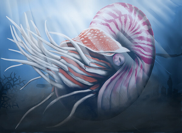 ArtStation - Nautilus