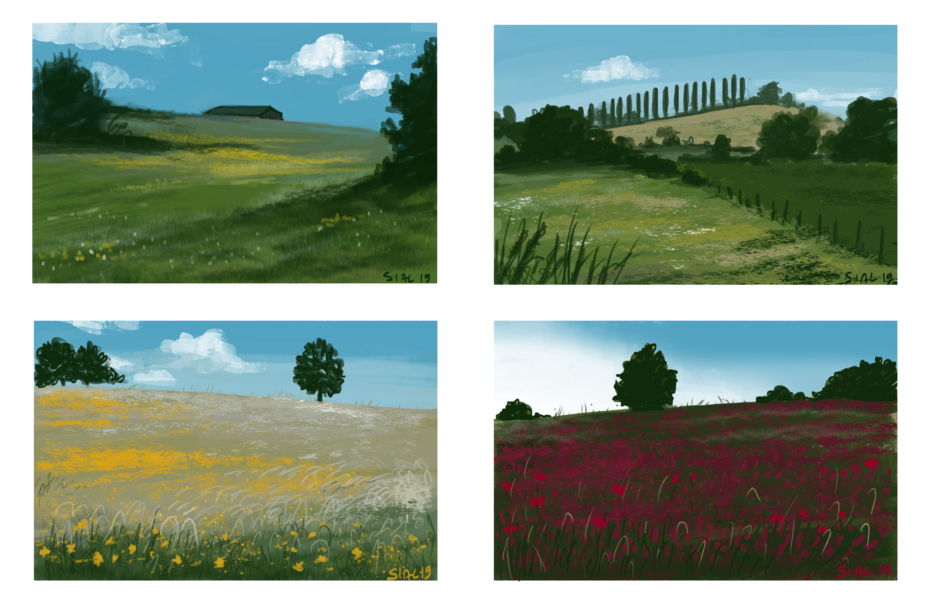 Sofia Fradegrada - Environment study