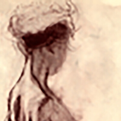 Ben Loggins - Portfolio