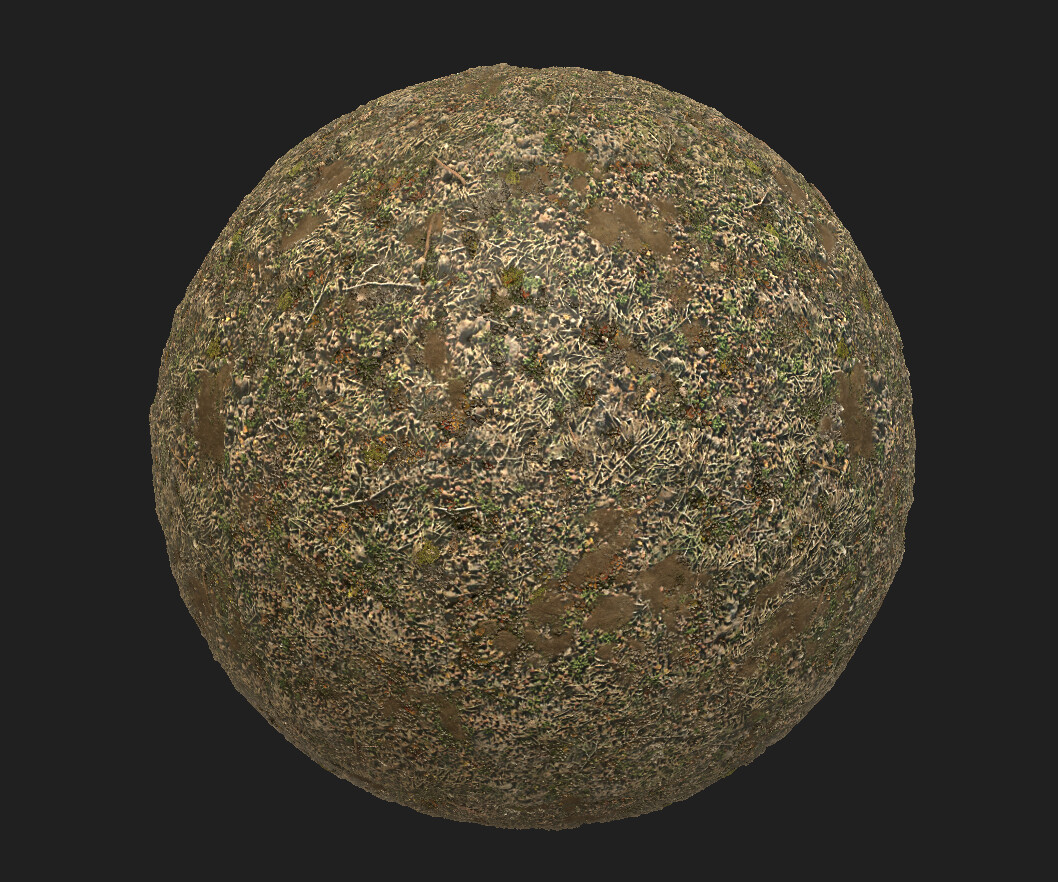 ArtStation - Muddy Forest Ground