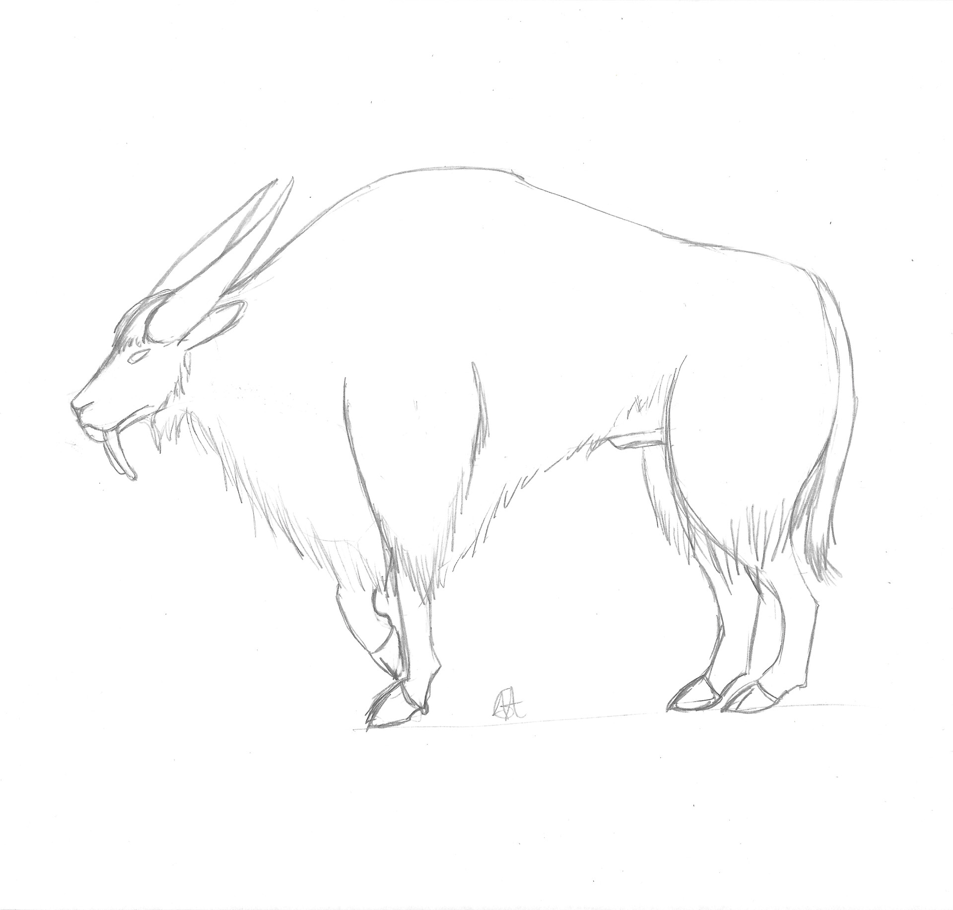 Angel Gonzo - Star Wars Creatures