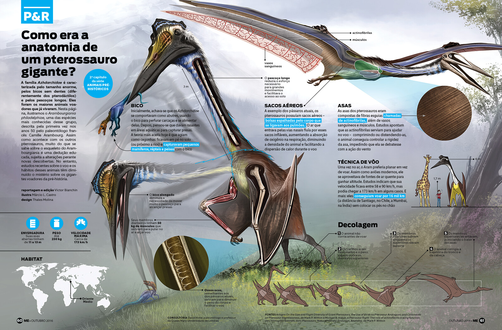 Marcio L. Castro - Arambourgiania philadelphiae