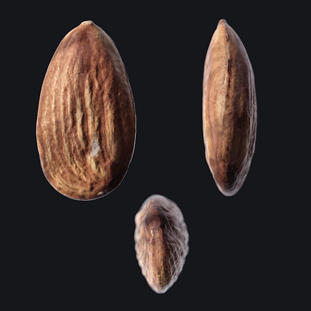 ArtStation - 3D Scanned Almond