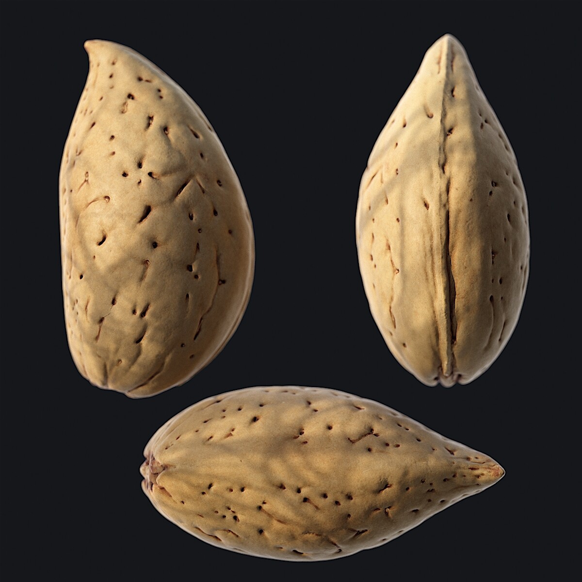 ArtStation - 3D Scanned Almond
