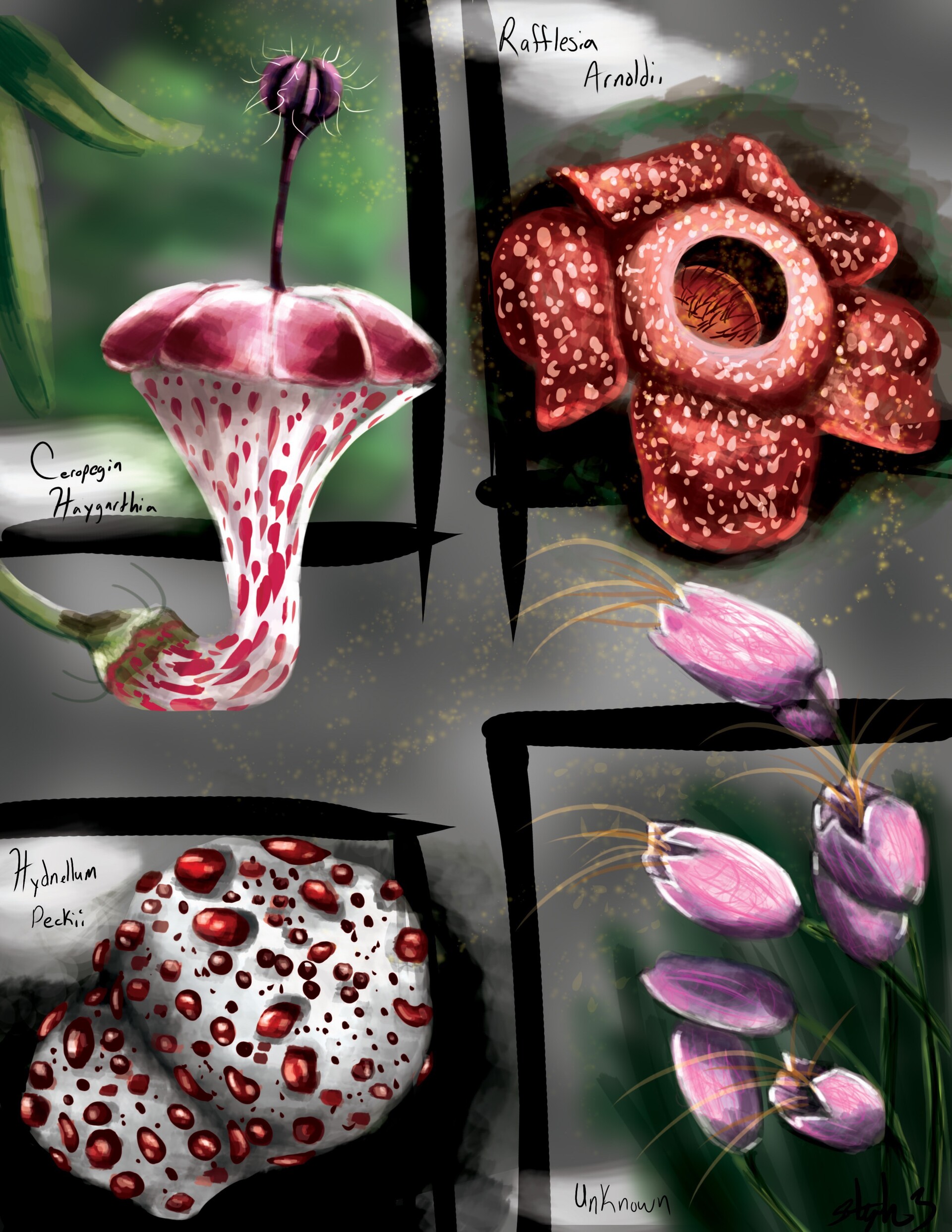 ArtStation - Plant Concept