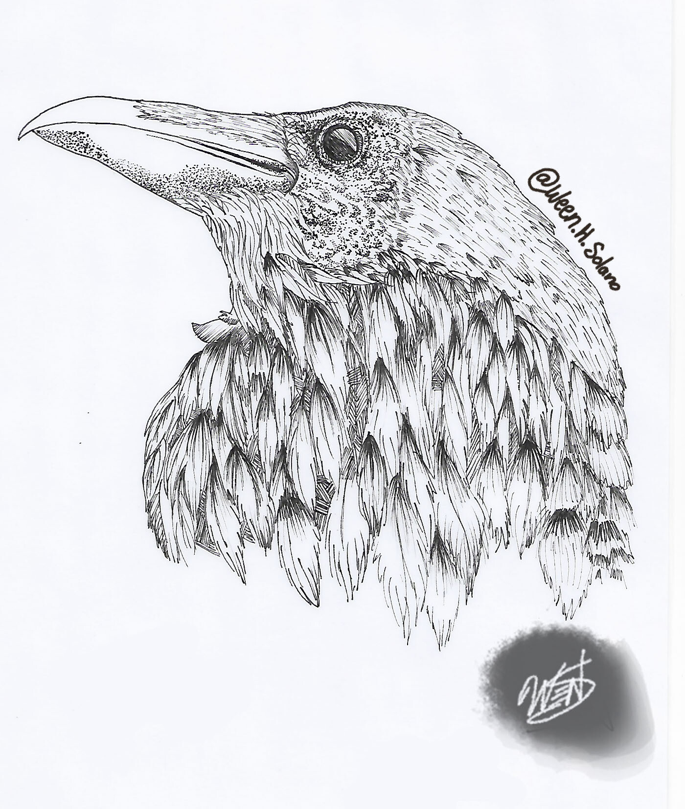 ArtStation - Ink Raven