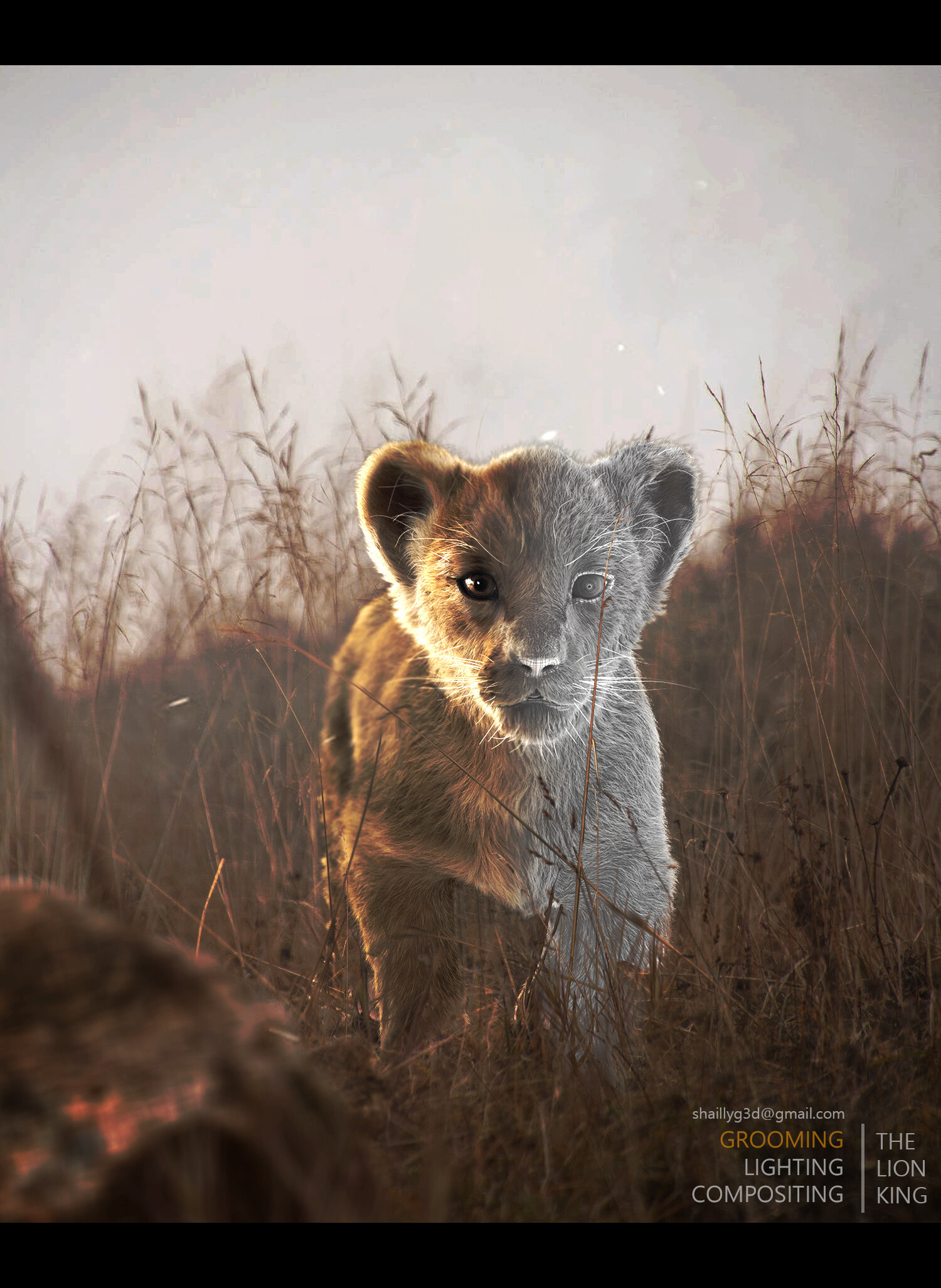 Shailly Gupta - THE LION KING SIMBA REMAKE