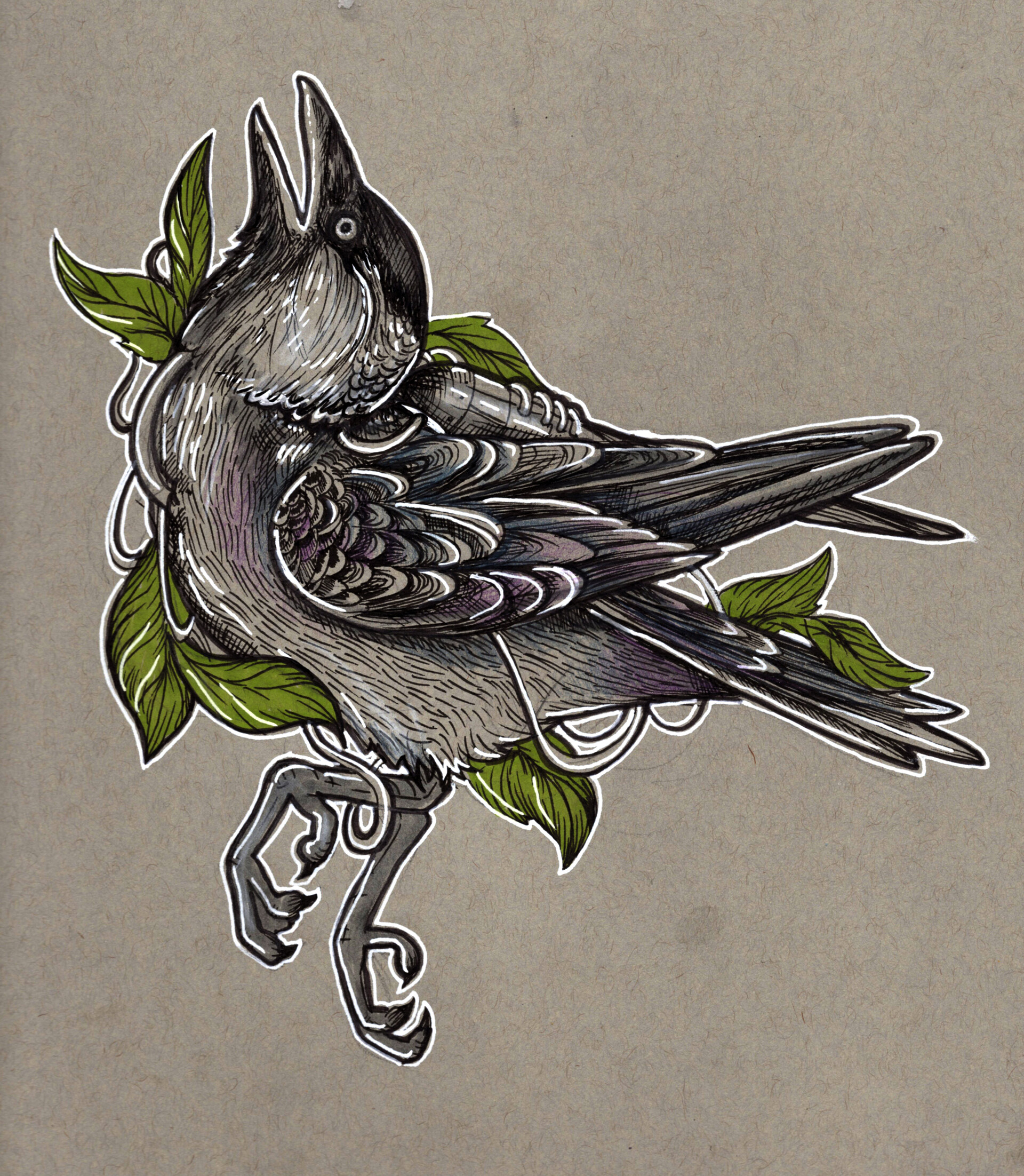 ArtStation - Jackdaw