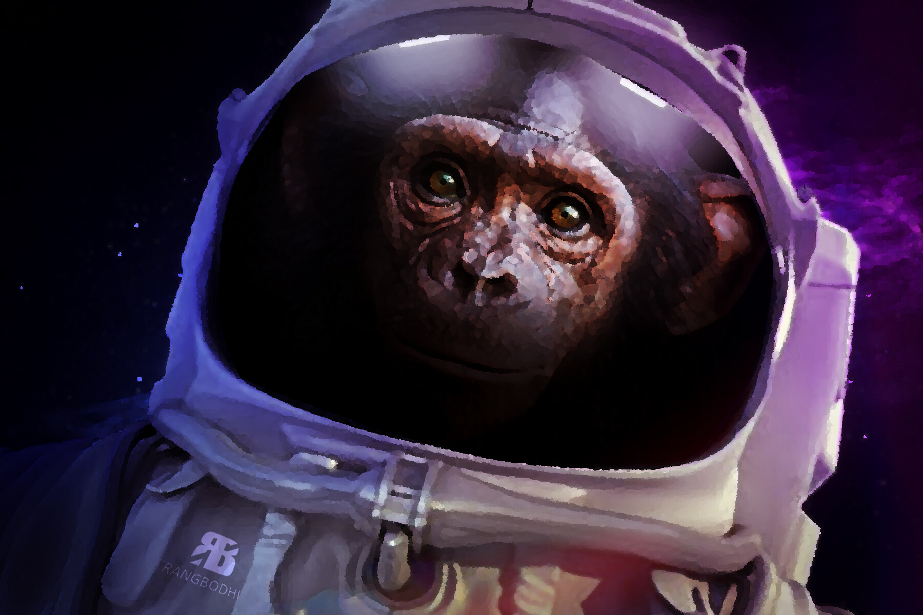 ArtStation - Space Monkey