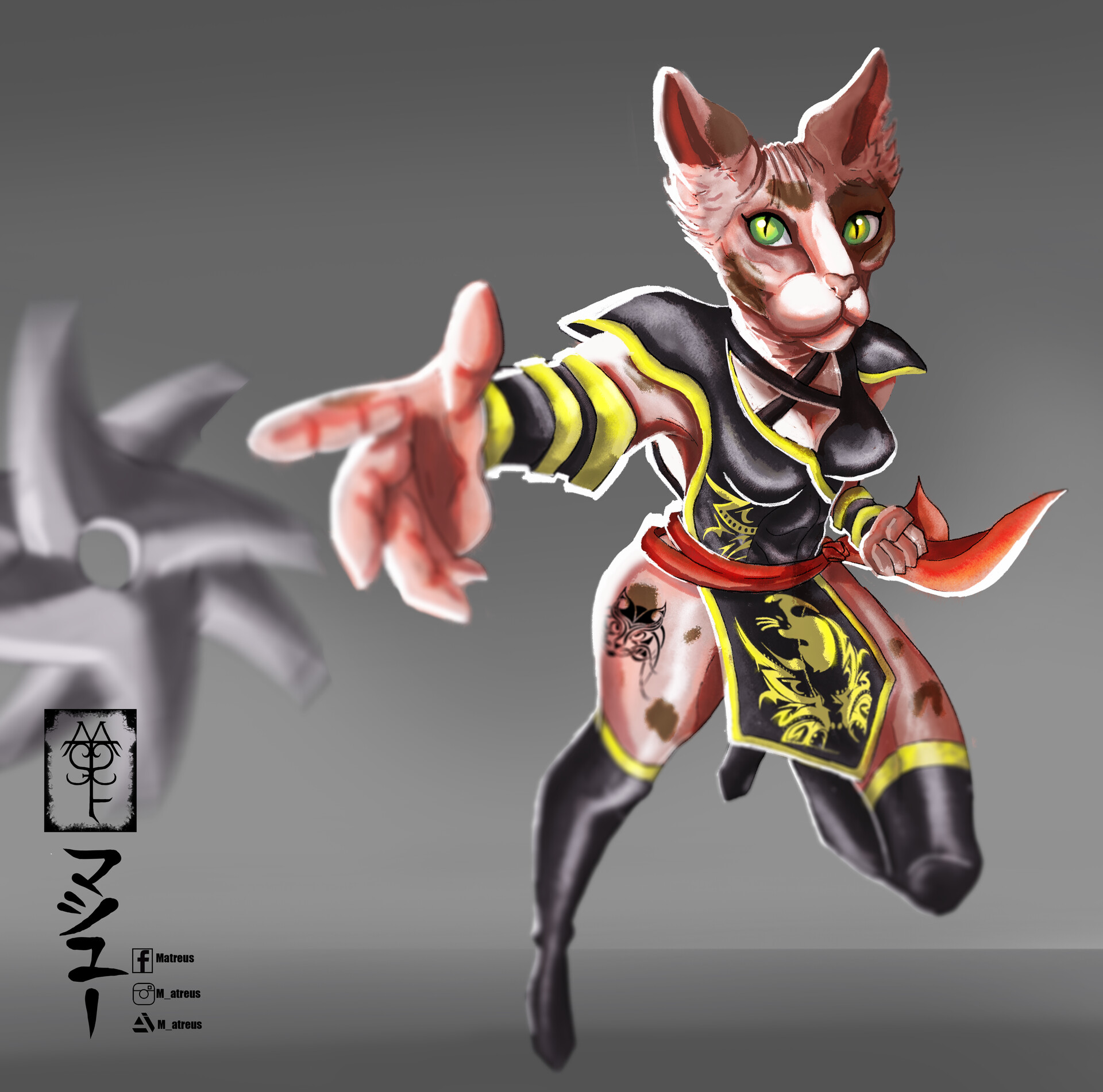 ArtStation - ninja cat