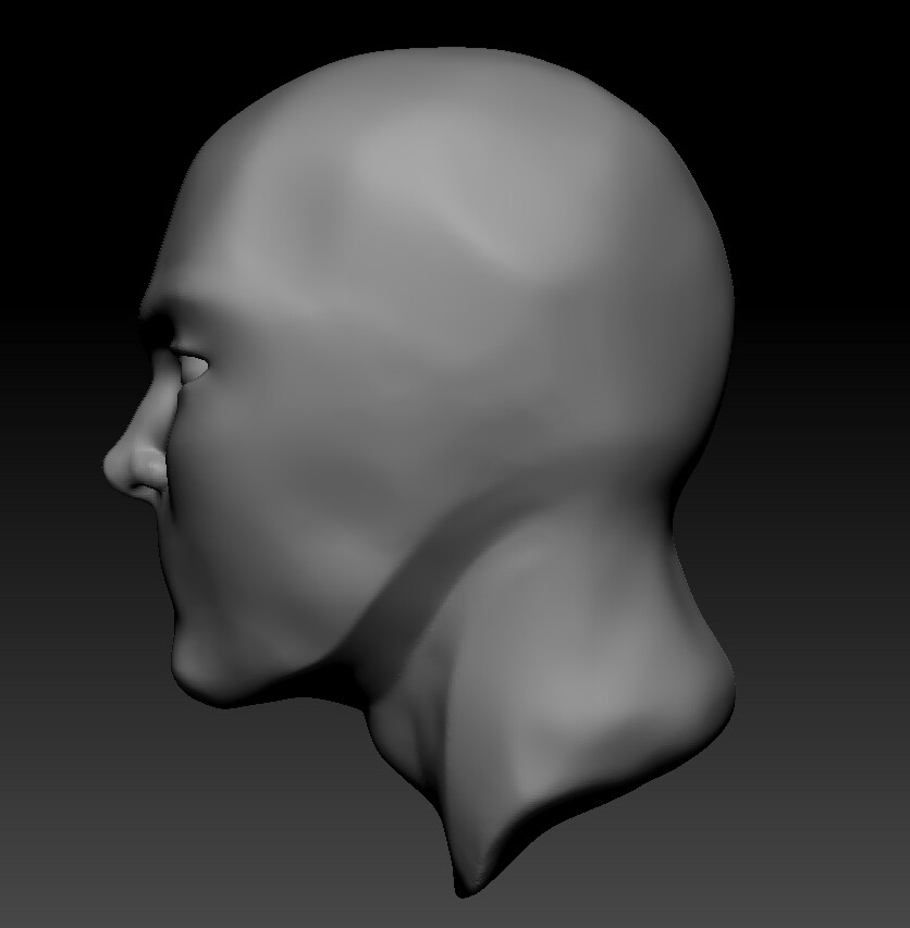 Mia Raji - 3D Male Head Sculpt -- Test