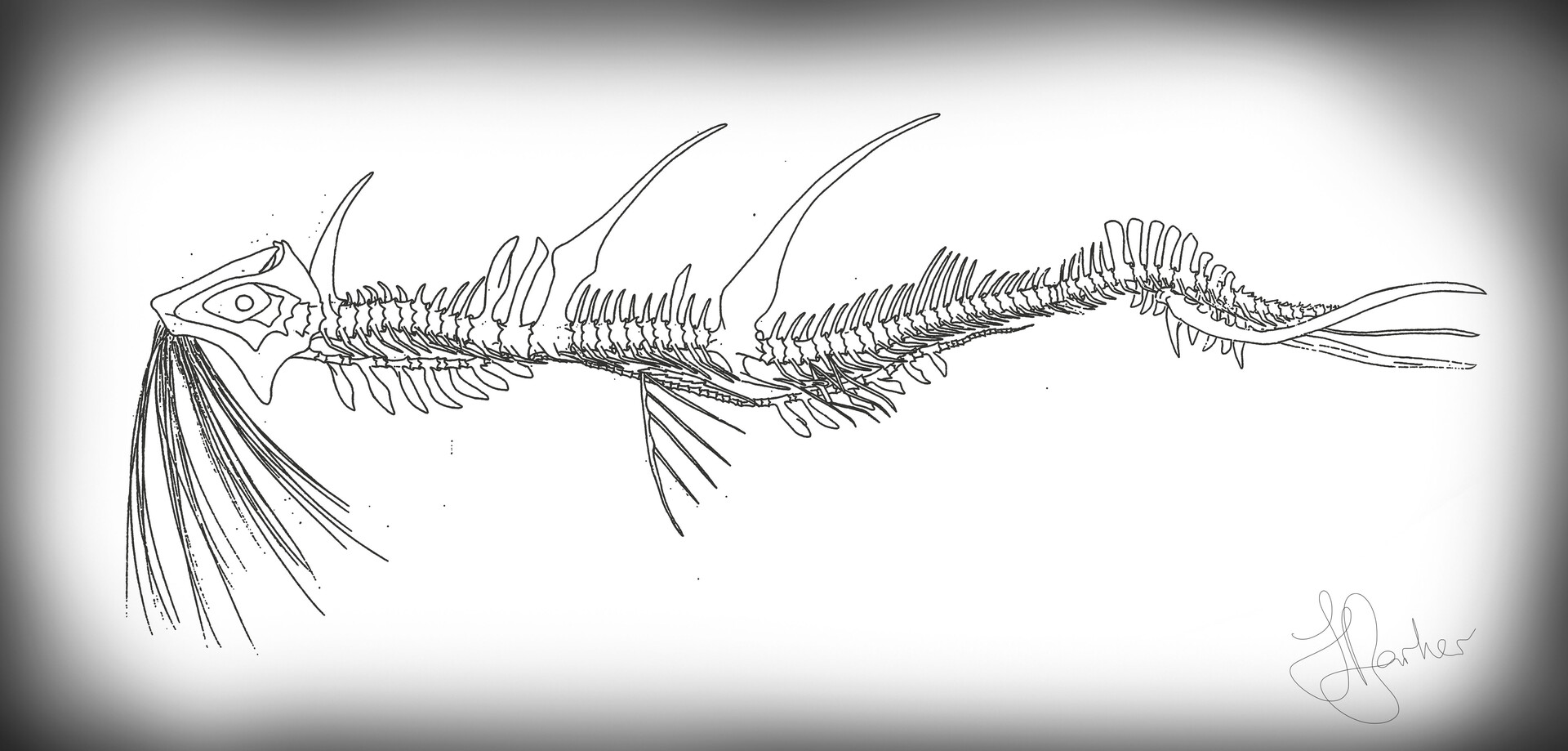 Hydrus Shadow Of The Colossus Art