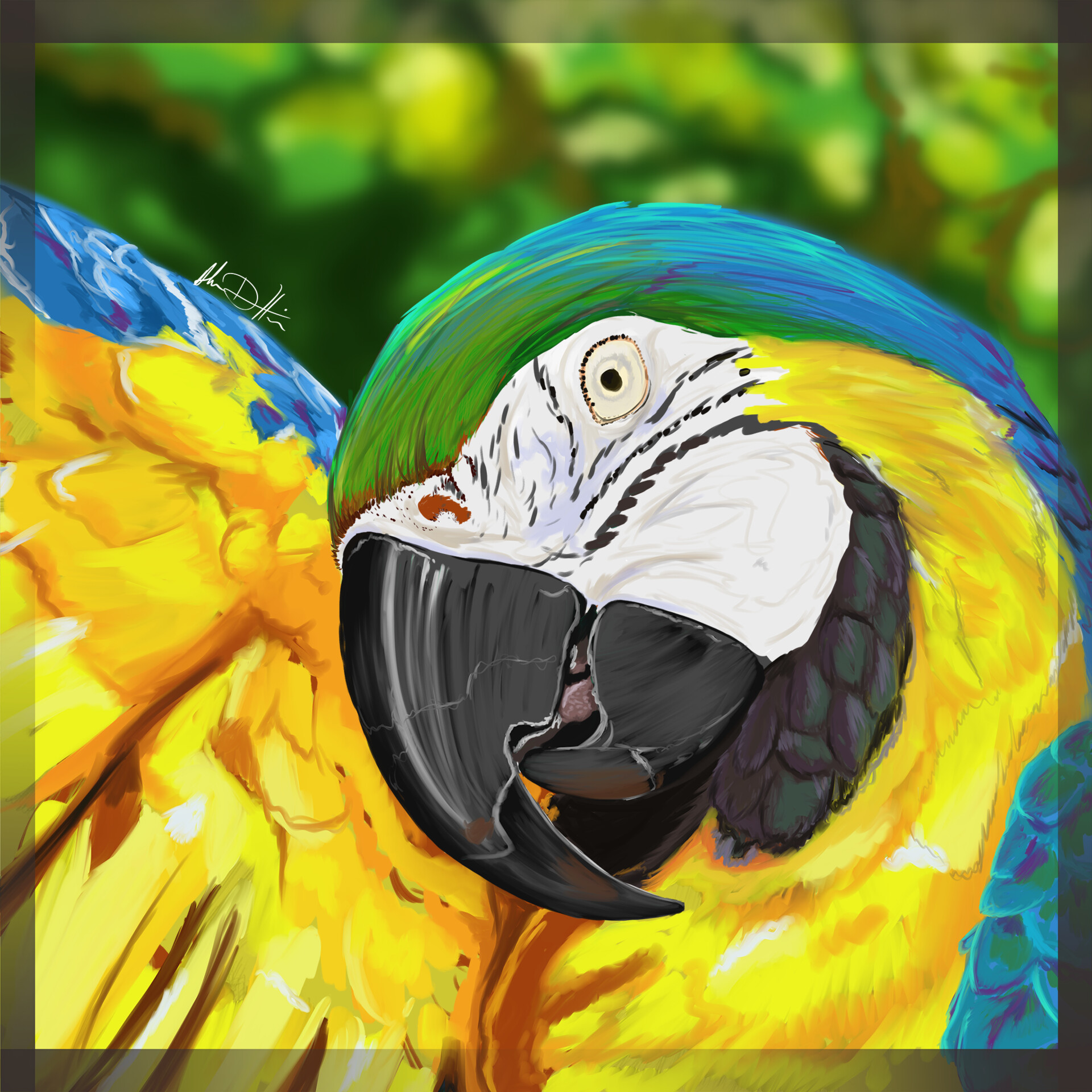 ArtStation - Macaw Painting
