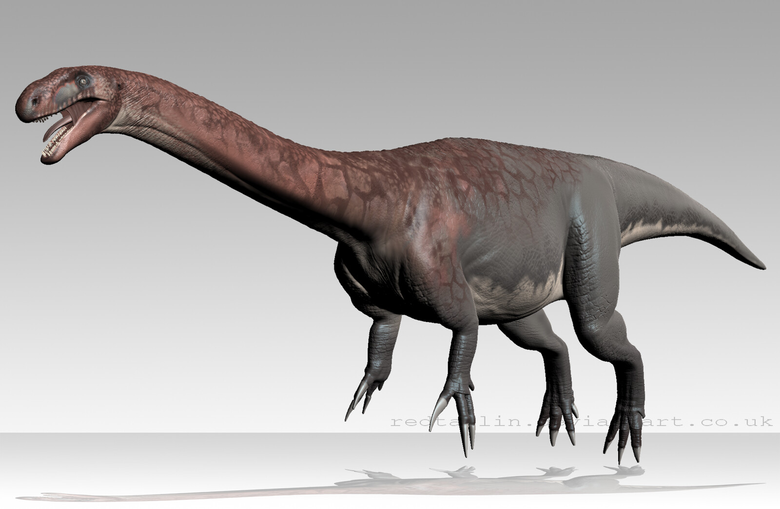 Rachel Denton - Massospondylus