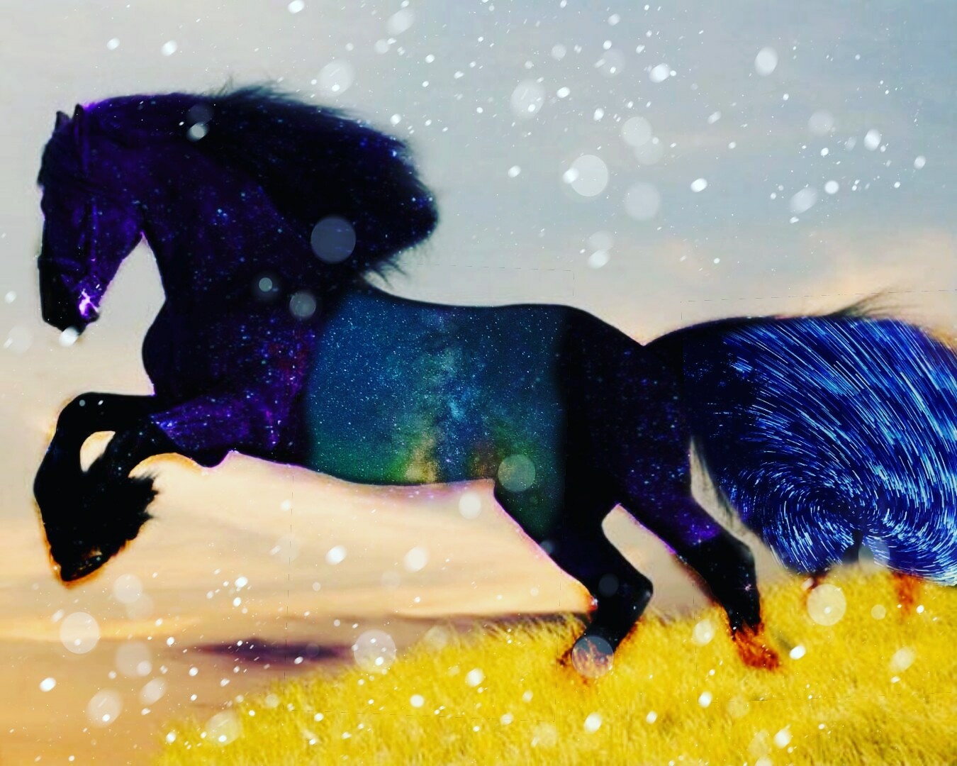 ArtStation - Celestial horse