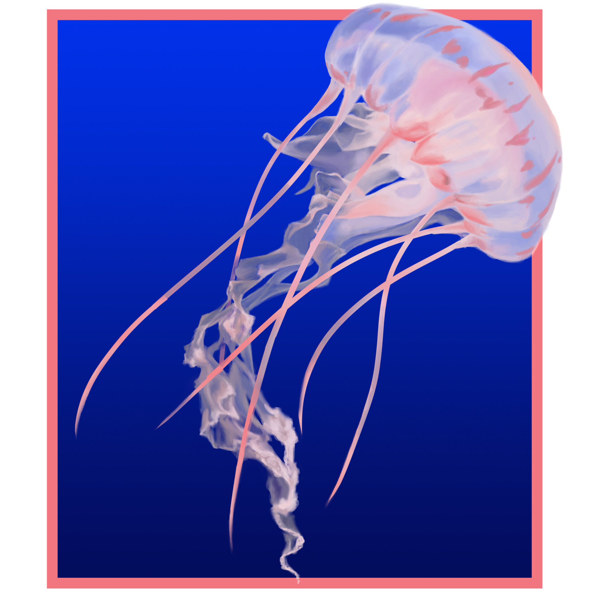 Sea Nettle Jellyfish Drawing