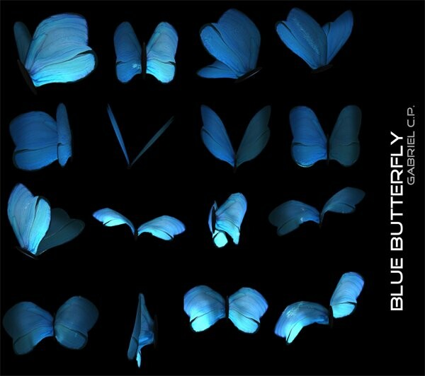 ArtStation - Blue Butterfly