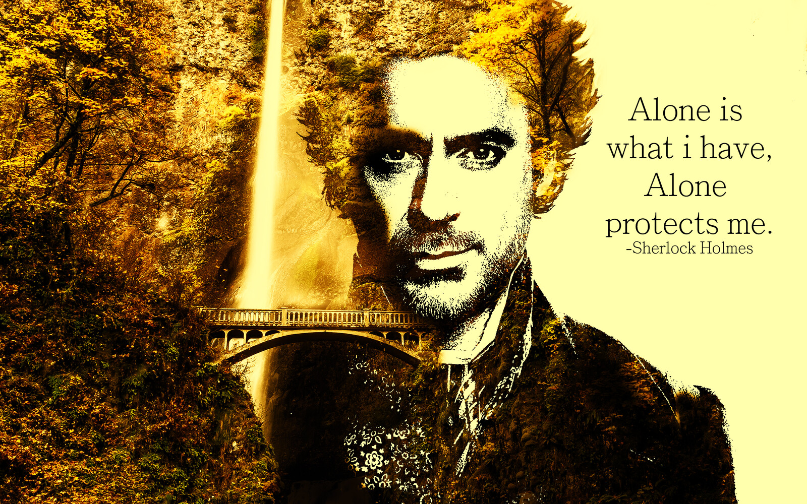 Vikas Boora - Sherlock Holmes matte