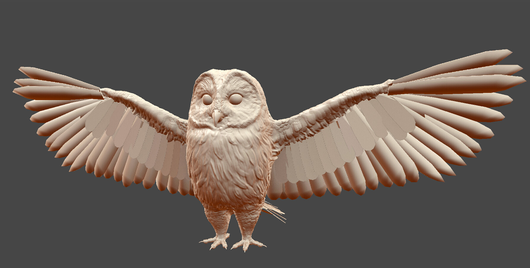 Northern Spotted Owl Flying