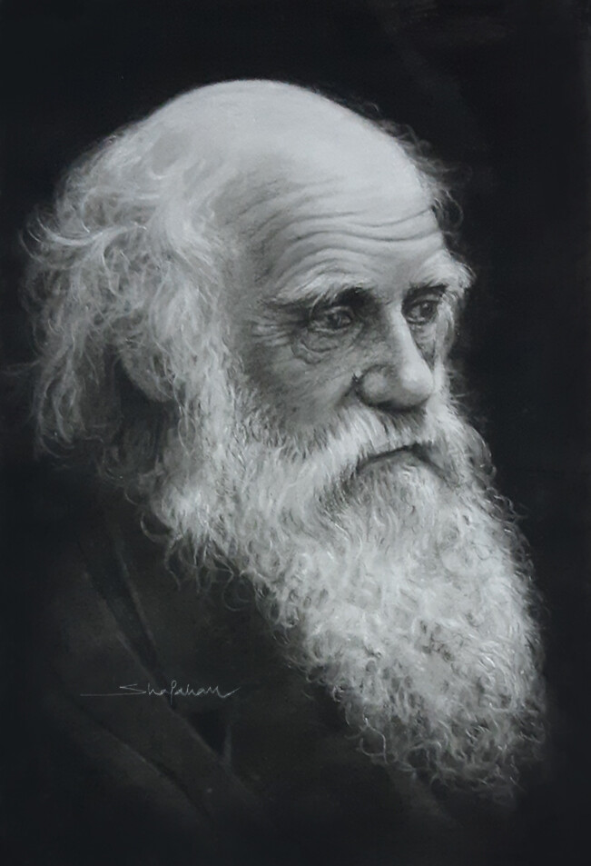 ArtStation - CHARLES DARWIN