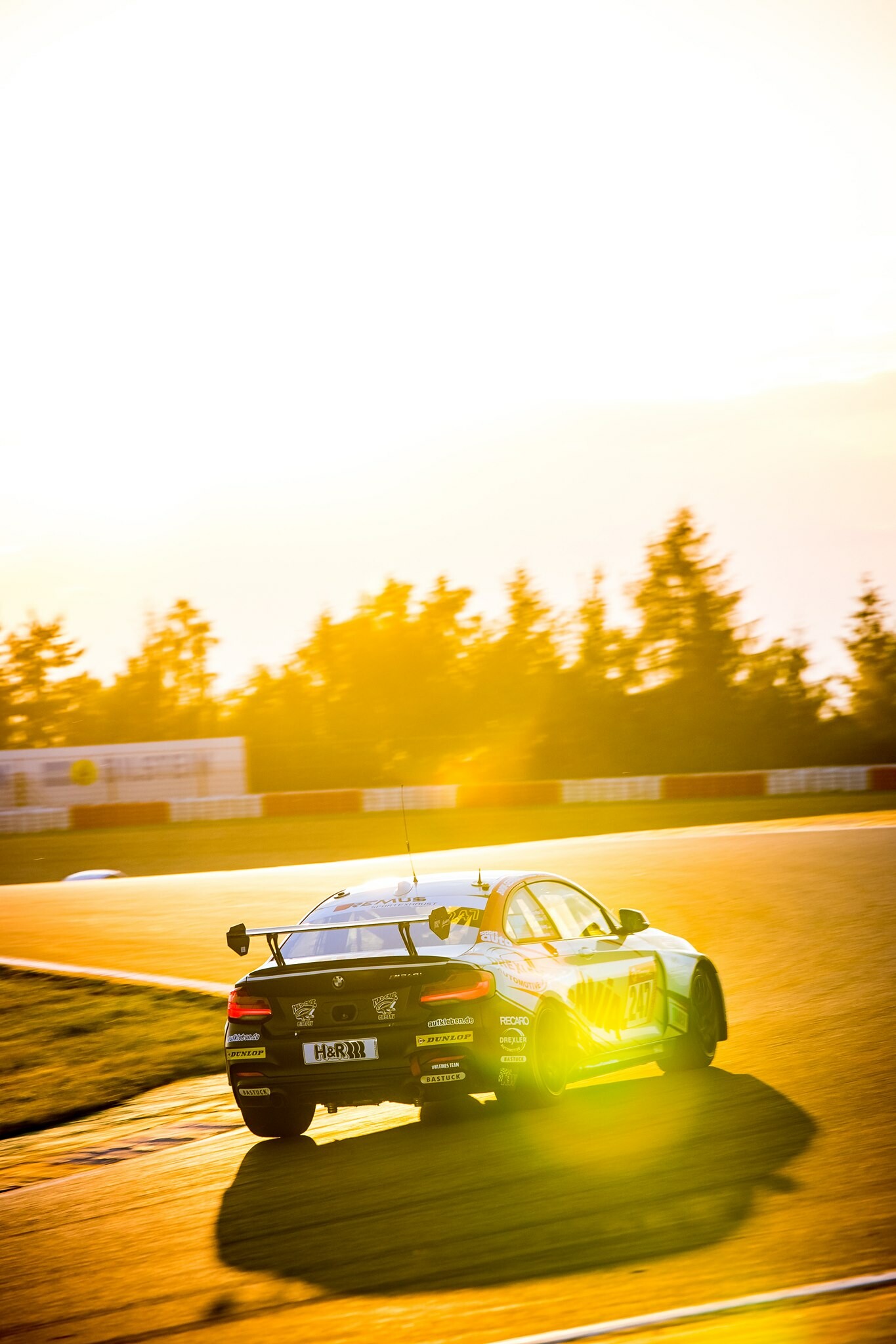 Marcus Dempwolf - AVIA Racing: Livery