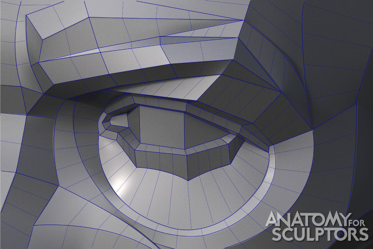 Anatomy For Sculptors - From Simple To Complex - Eye