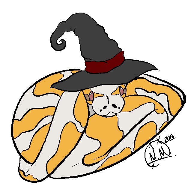 ArtStation - Wizardly Ball Pythons