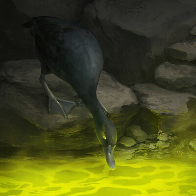 Magdalena Świderska