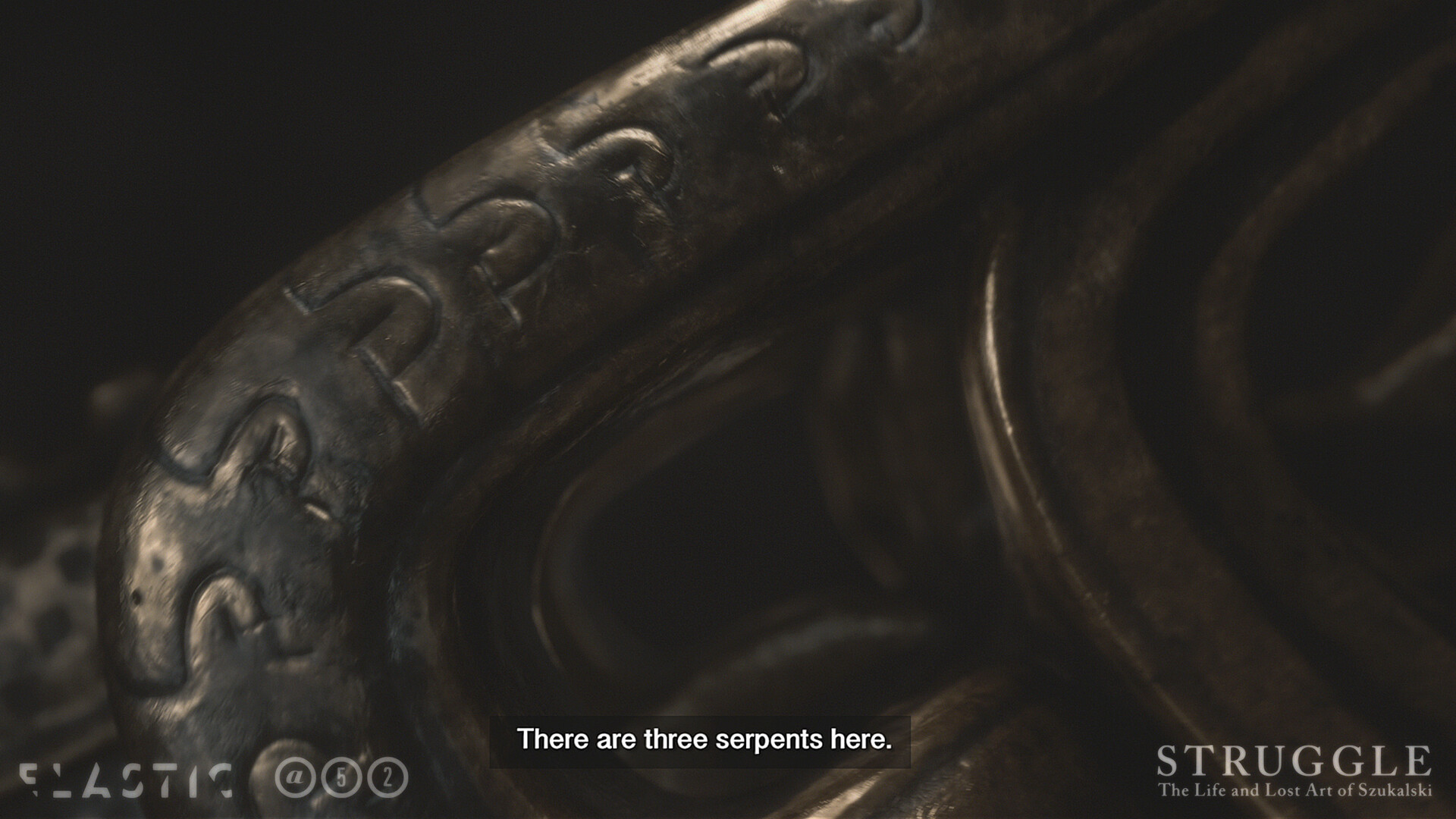 CITRIKS - Struggle - Rooster of Gaul