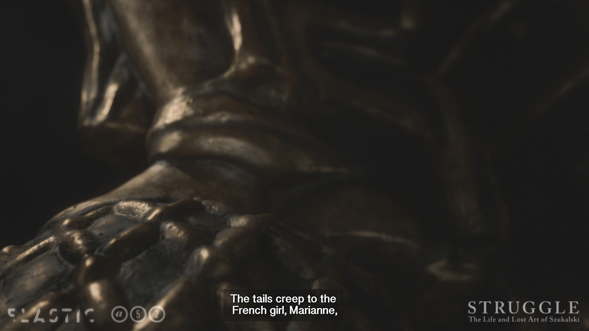 CITRIKS - Struggle - Rooster of Gaul